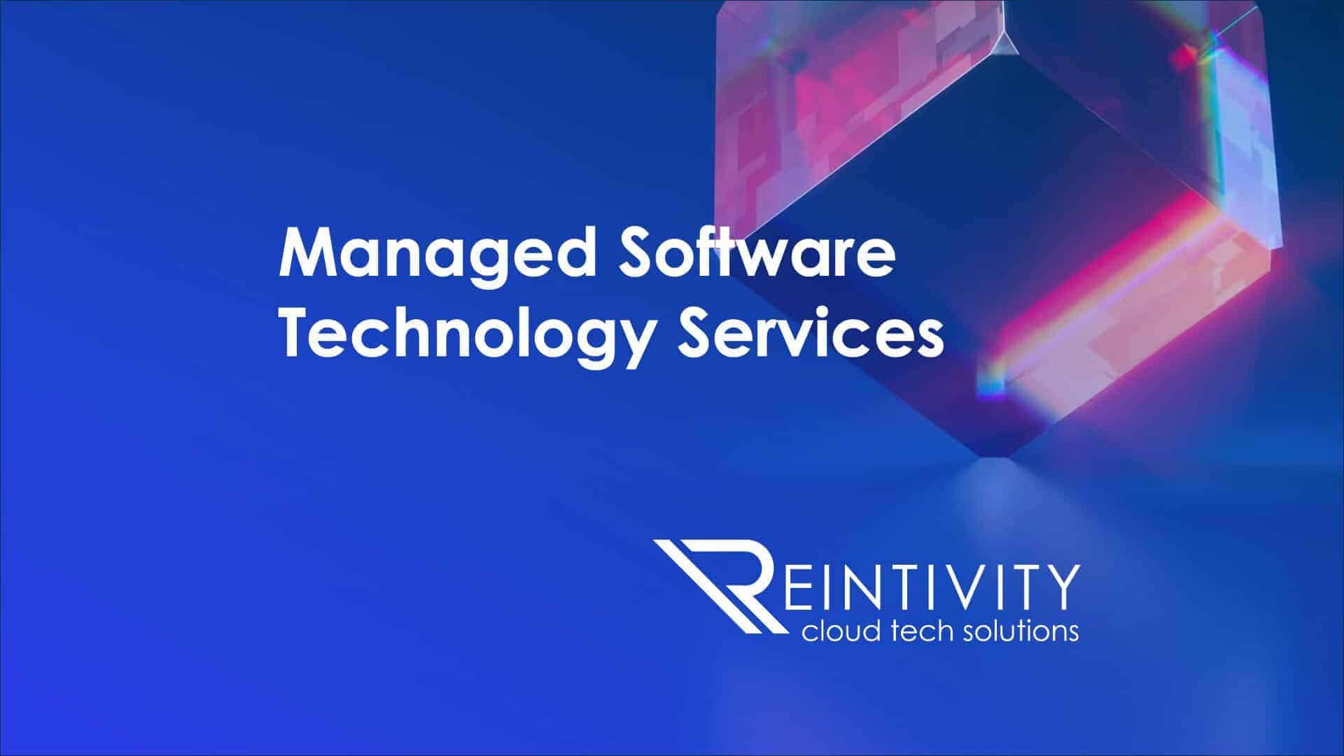 Managed Software Technology Services - Reintivity Technology Solutions